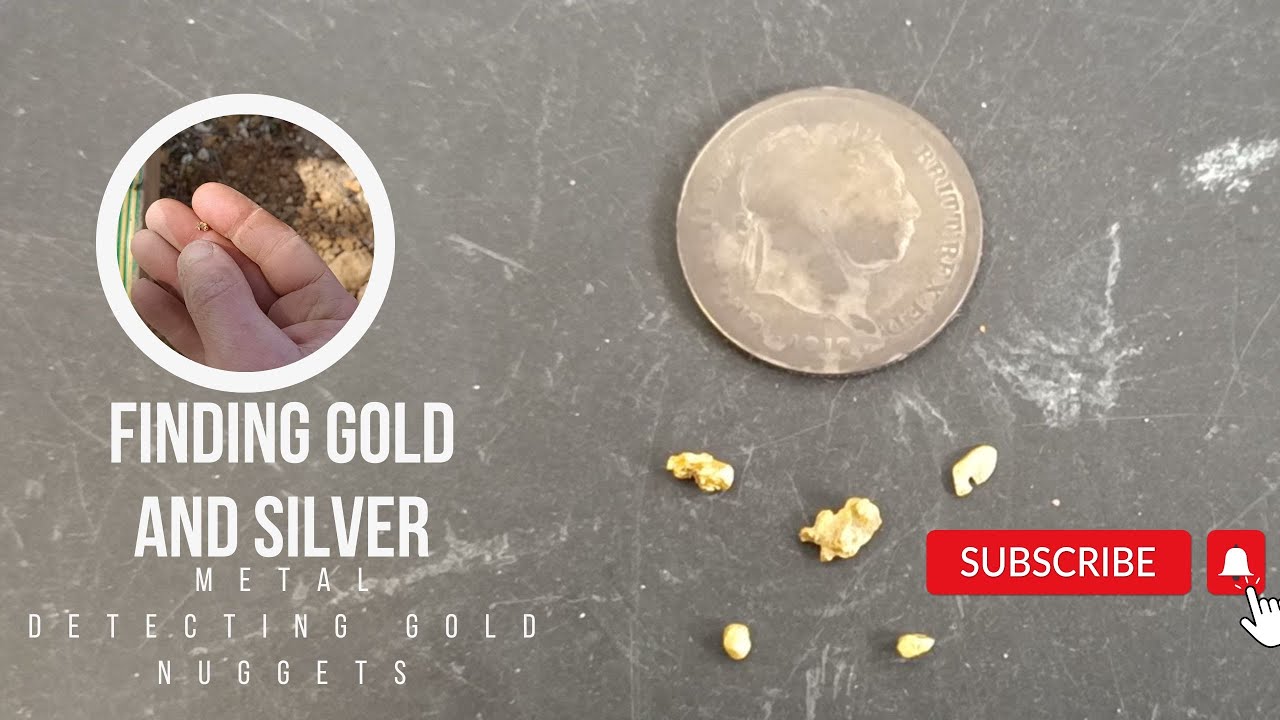 Alluvial Gold Prospecting, Metal Detecting Old Diggings. Gold and ...