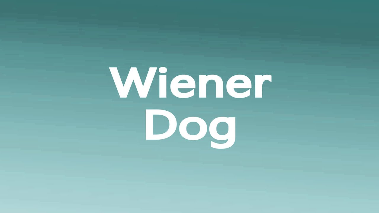 How to Pronounce Wiener Dog - YouTube