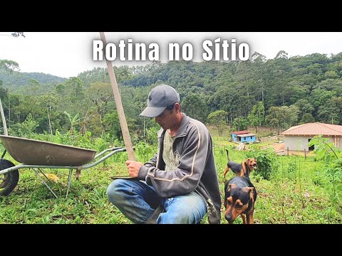 MUITO TRABALHO NO SÍTIO. A ROTINA MORANDO NA ROÇA NUNCA ACABA, MAS É PRAZEROSA