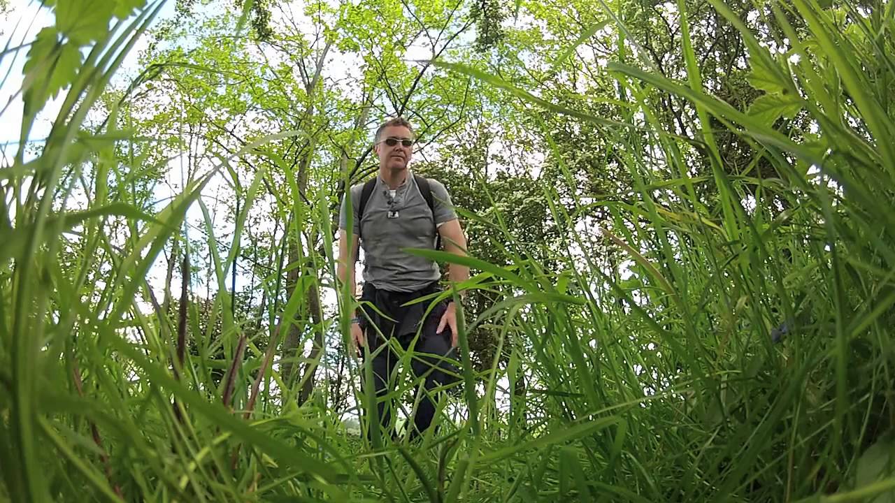 Pontarddulais Rebecca Riots ENG HD Master Good HD - YouTube