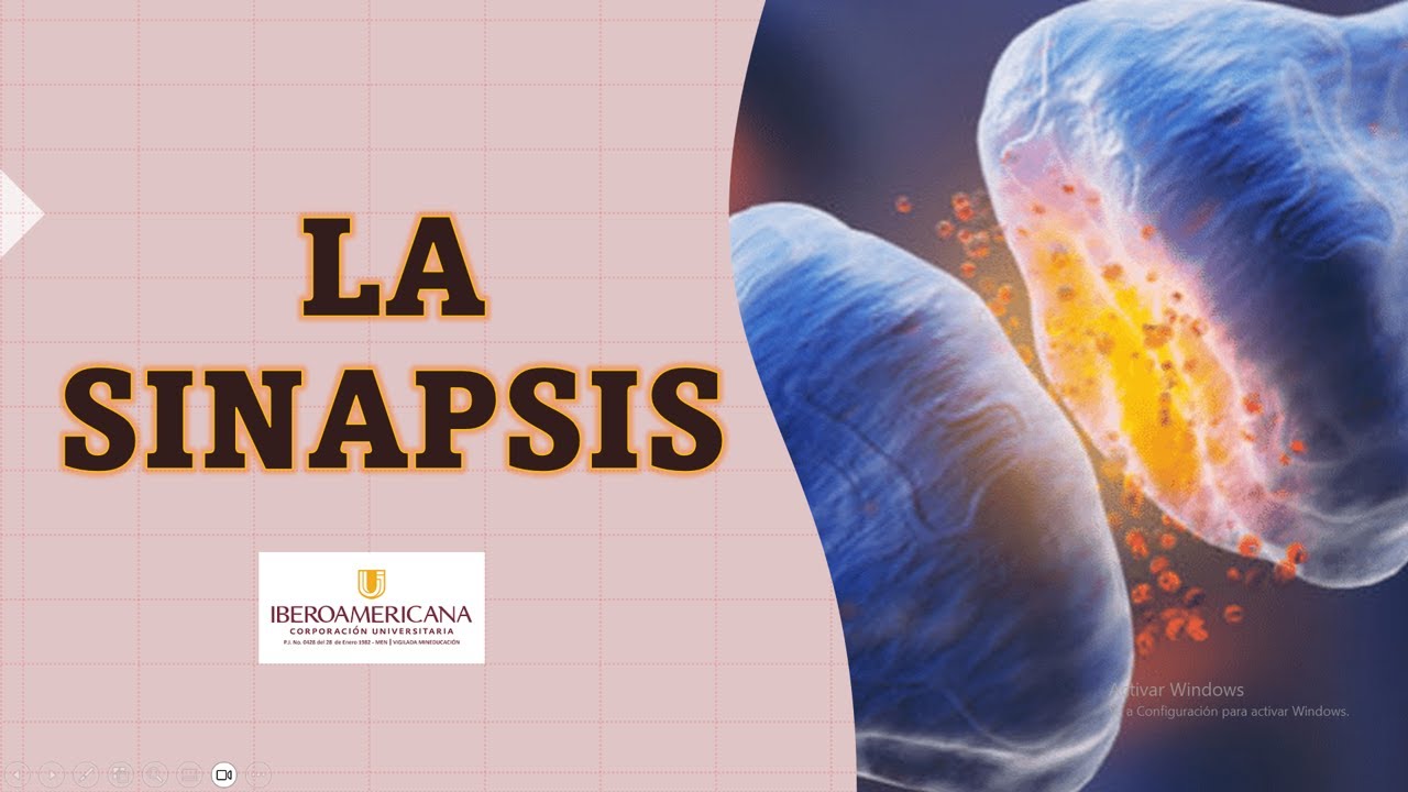 Video_La_Sinapsis_ Windy_Nazarit _Gomez - YouTube