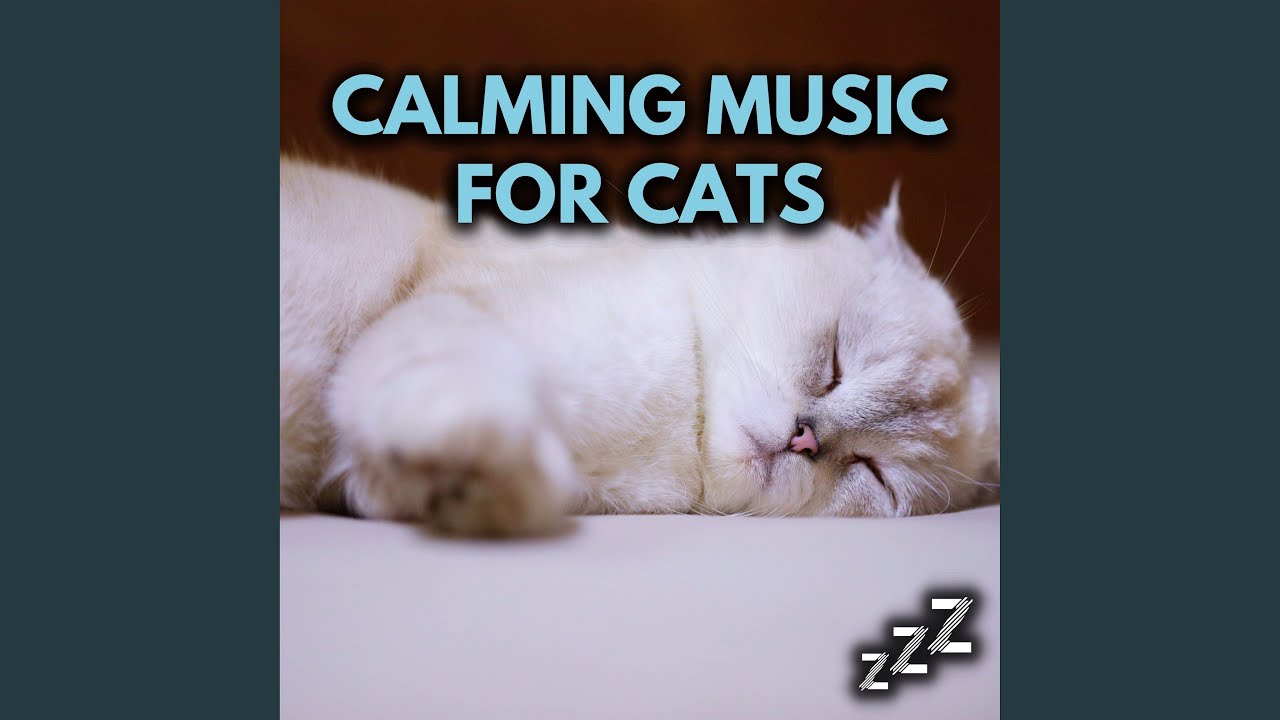 Serene Feeling (Loopable) - YouTube