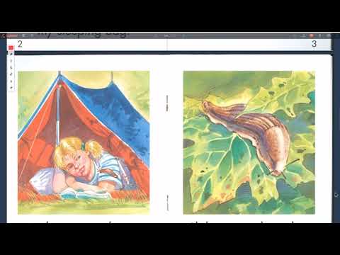 Reading SL story - YouTube