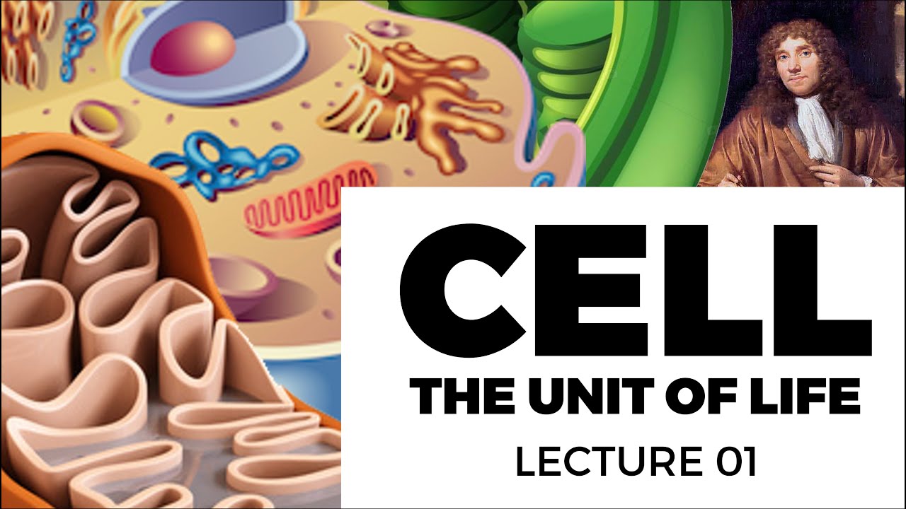 LECTURE 01 || CELL : THE UNIT OF LIFE || INTRODUCTION TO BIOLOGY - YouTube