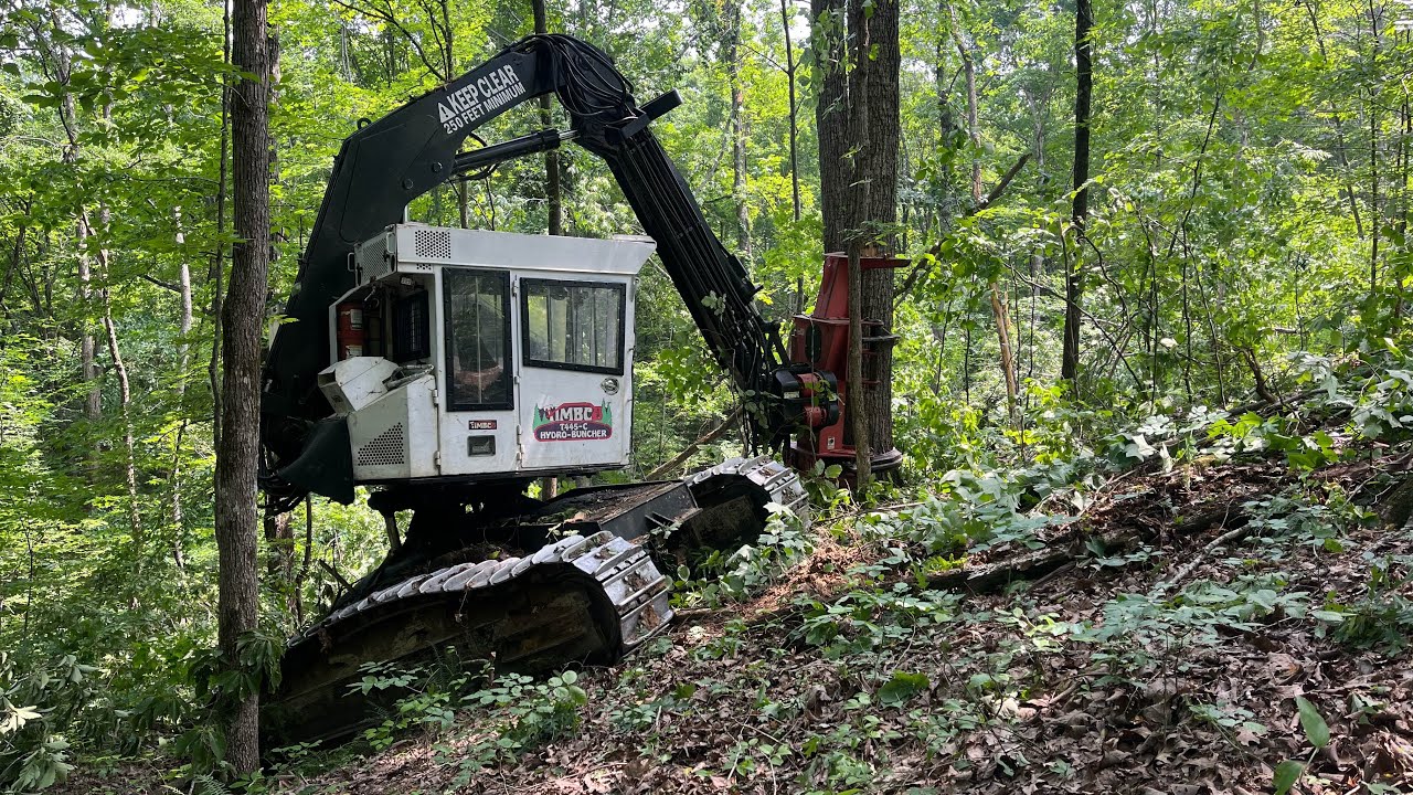 Timbco 445C Feller Buncher with Timberpro TDS-32 head cutting and ...