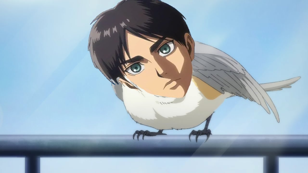 Eren Yeager Has Become A Bird Youtube