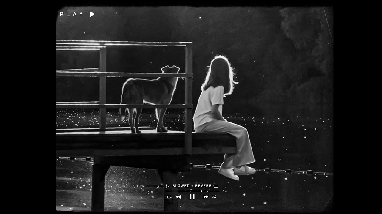 Let Me Down Slowly | (𝙨𝙡𝙤𝙬𝙚𝙙 + 𝙧𝙚𝙫𝙚𝙧𝙗) songs playlist | sad love songs ...