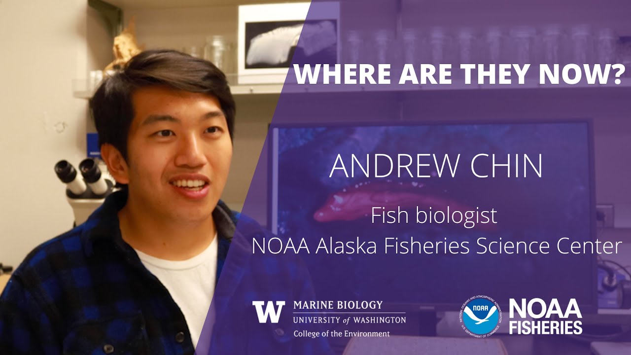 Where Are They Now? Andrew Chin, NOAA - YouTube