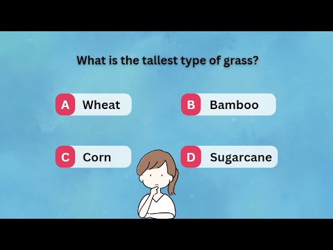 Ultimate Nature Trivia Challenge | 30 Fun Questions to Test Your ...