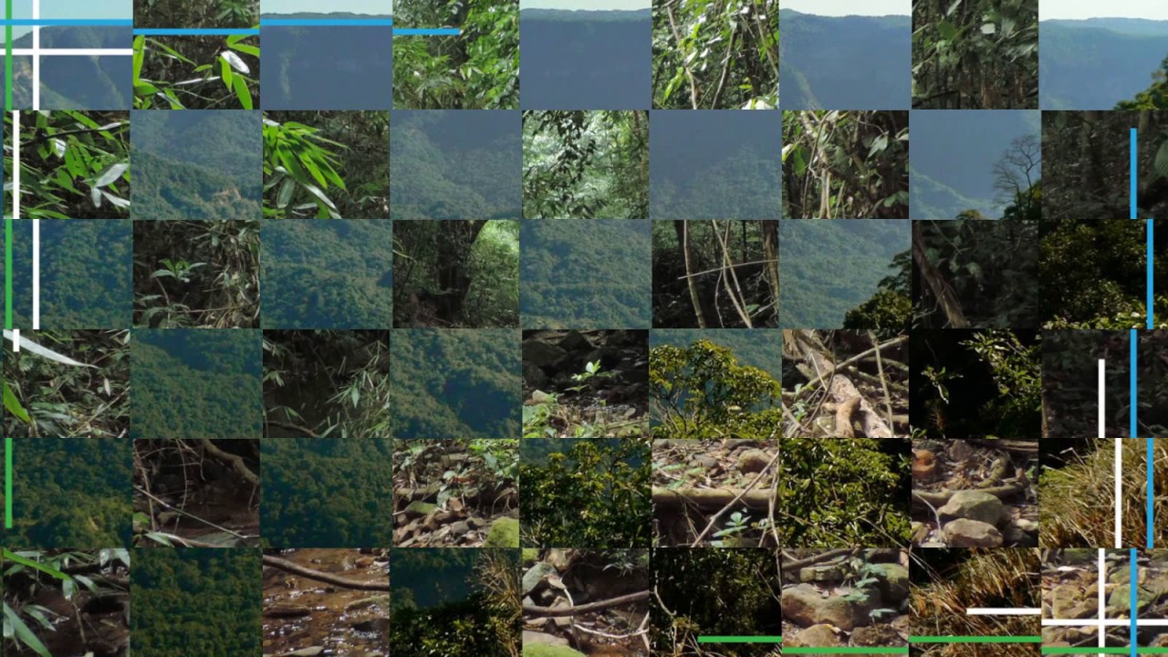 Balpakram National Park Tour | Balpakram National Park Meghalaya ...