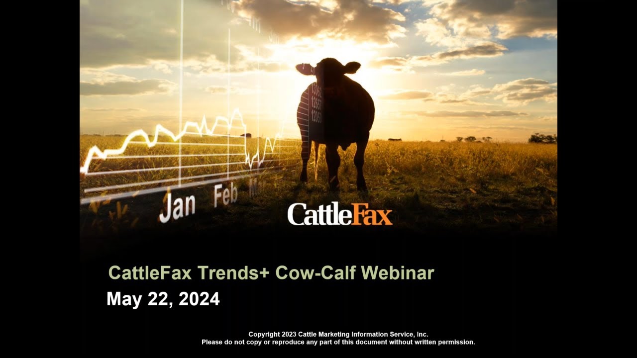 CattleFax Trends+ Webinar May 22, 2024 - YouTube