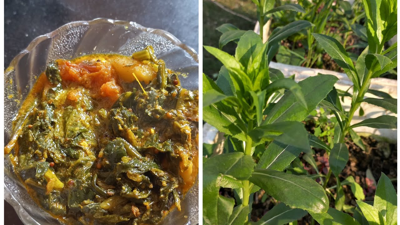Healthy Kusum Saag Recipe|Kusum ka saag kaise banate hai?#trending# ...