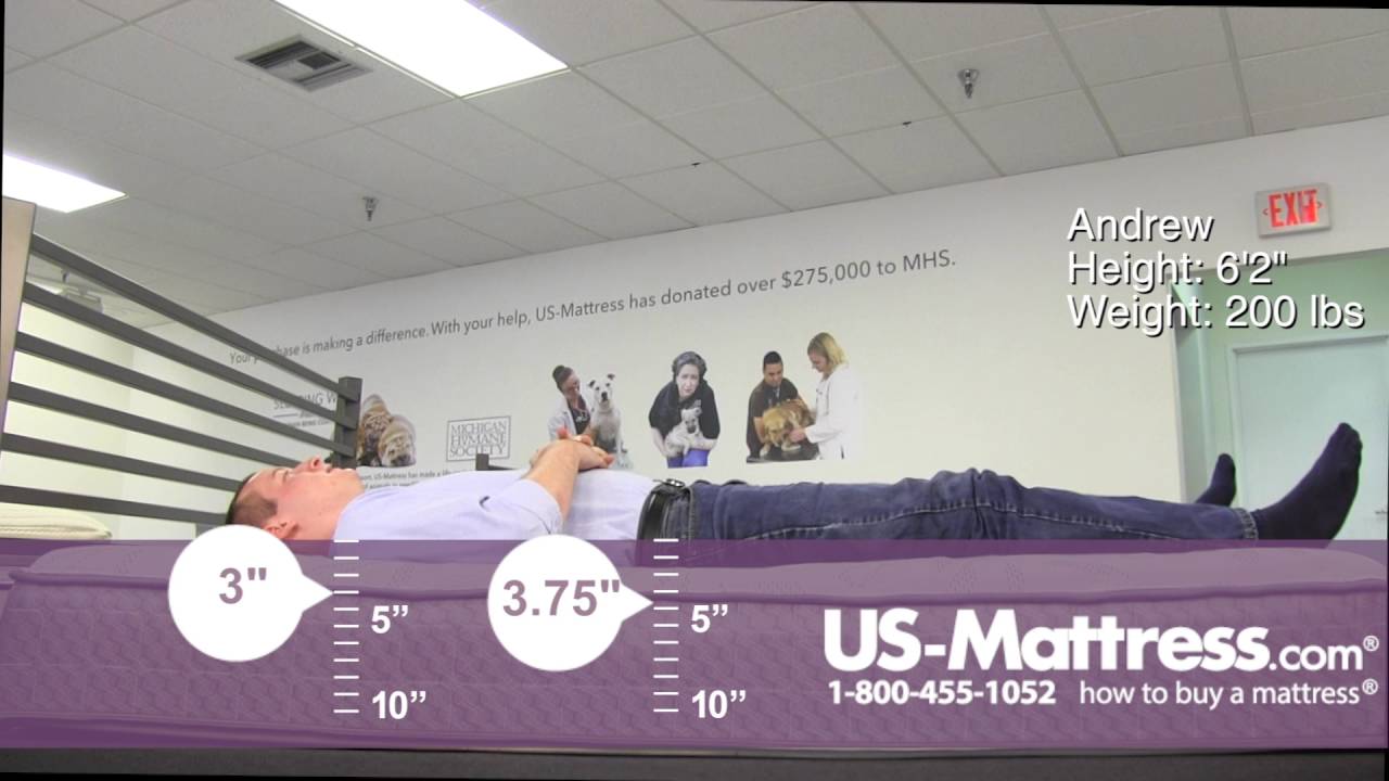 Corsicana Arabella Owendale Plush Mattress Comfort Depth with Andrew ...