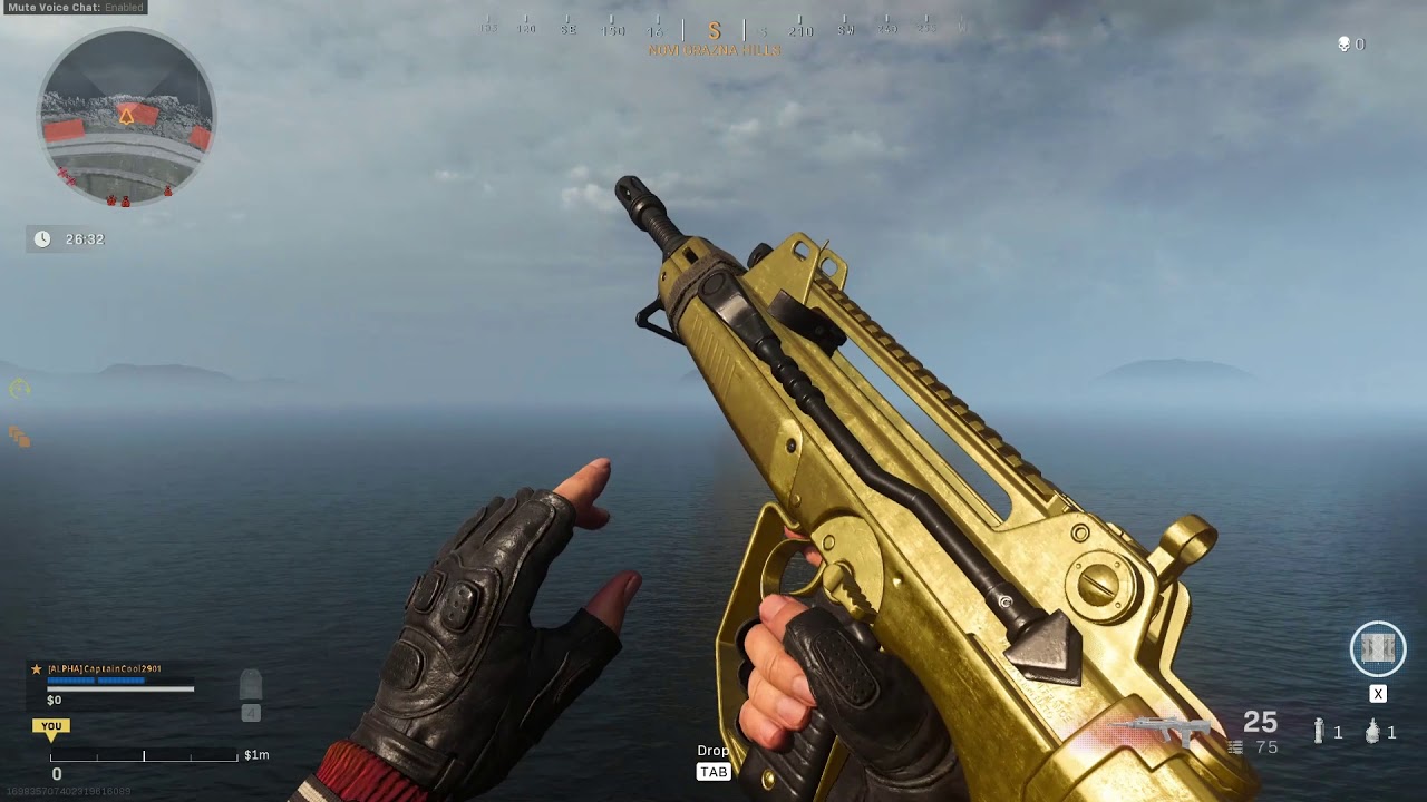 Call of Duty: Black Ops Cold War and Warzone Mastery Camo Comparison ...