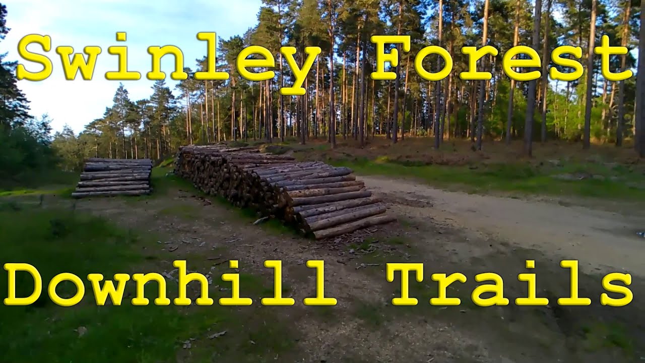 Swinley Forest Downhill Trails Overview - YouTube