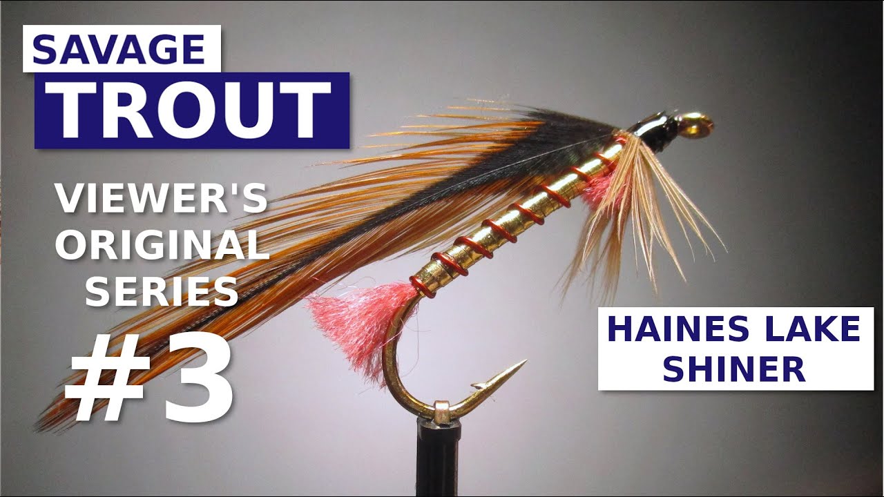 Haines Lake Shiner - Fly Tying a Feather Wing Streamer - YouTube