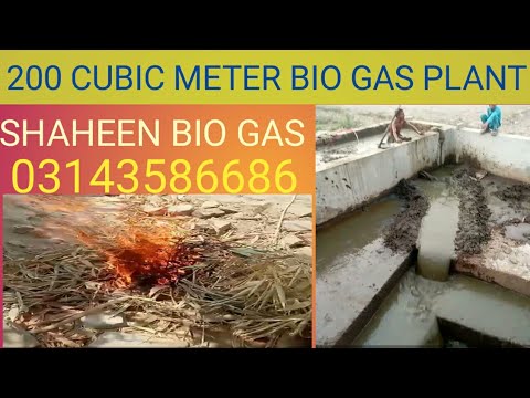 BIO GAS PLANT 200 CUBIC METER GOHBER FEEDING - YouTube