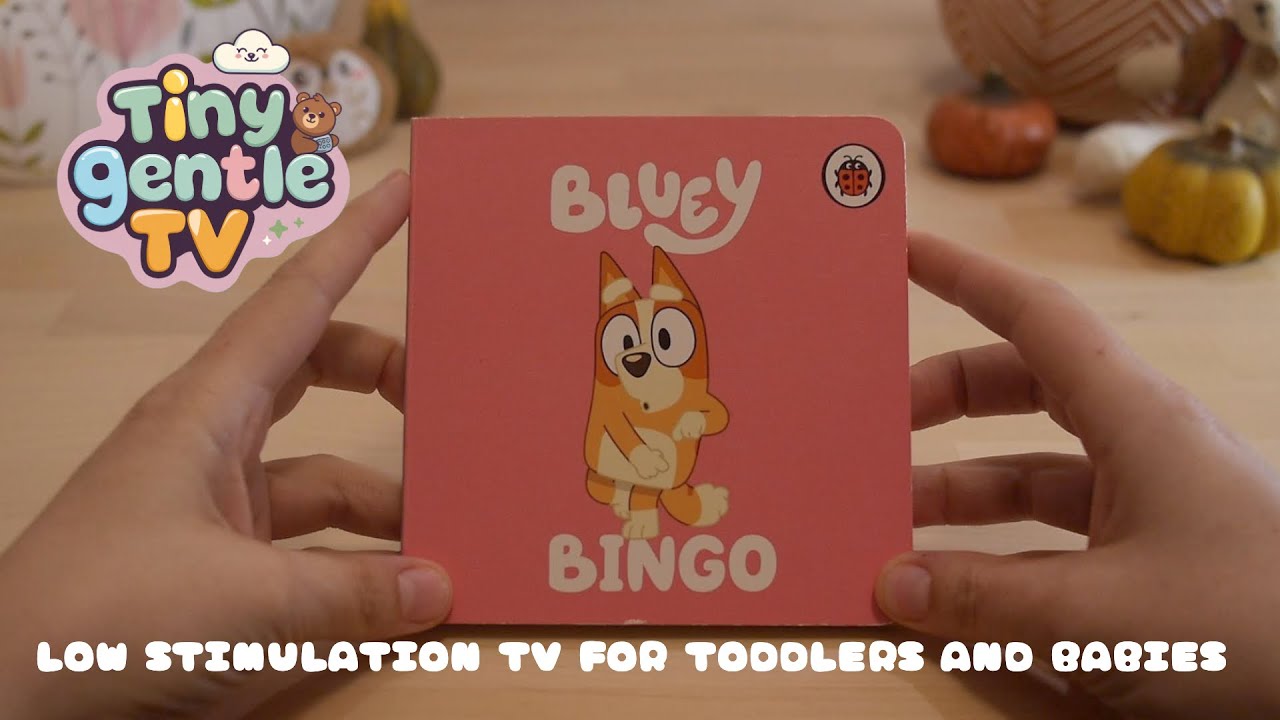 Bluey Bingo | Relaxing reading | Story time for toddlers - YouTube
