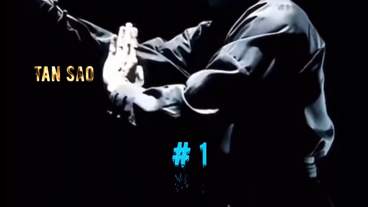 #1 , Wing Chun , Tan Sao ; Complete Step-by-Step wing chun Training ...