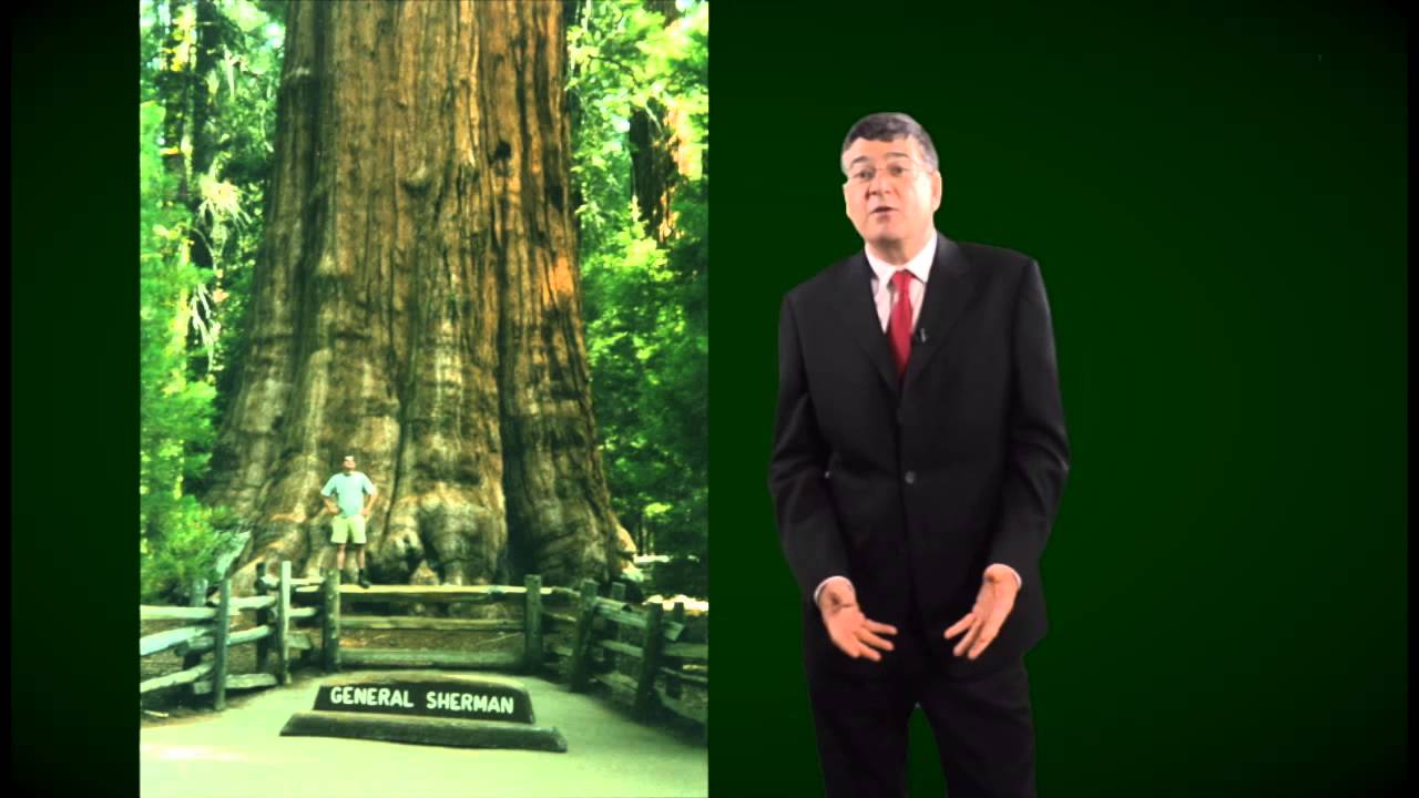 Clive Mayhew CLA - YouTube