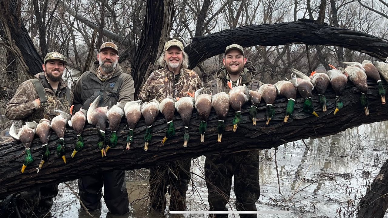 Mallards in the Woods: Best Mallard Hunt of My Life - YouTube