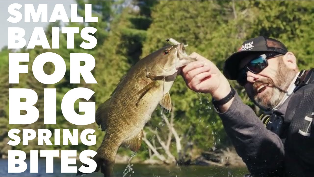 Small Baits for Big Spring Bites! - YouTube