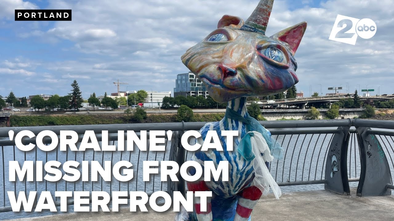 'Coraline' Cat goes missing from Portland Waterfront, officials plead ...