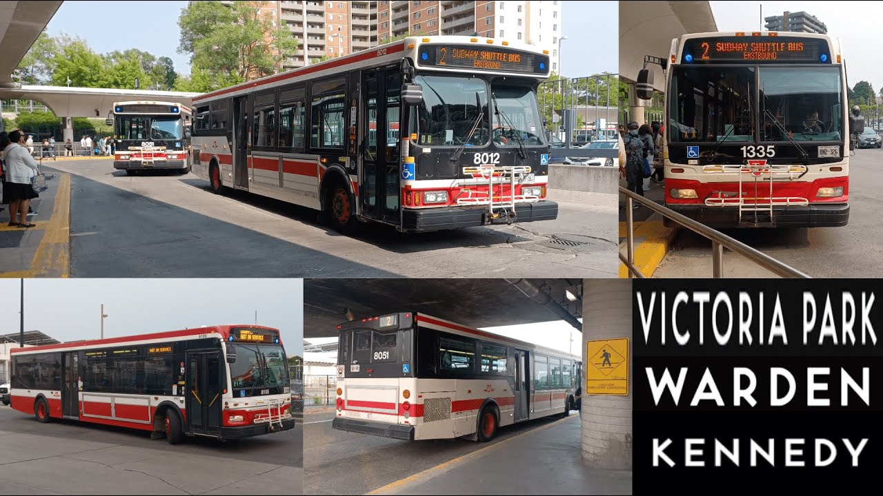 TTC Bus Compilation {6} (Line 2 Shuttle Bus Edition #2) - YouTube