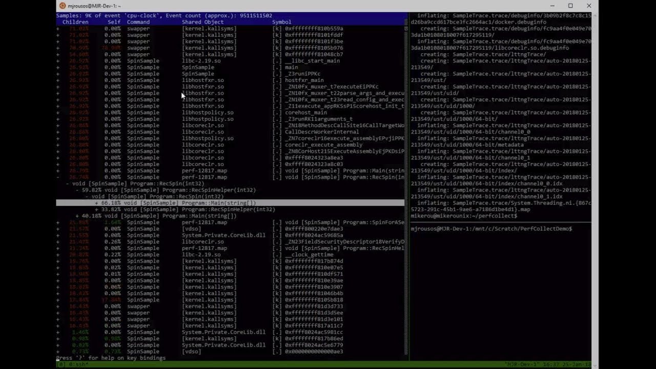 .NET Core Linux Performance Analysis - YouTube