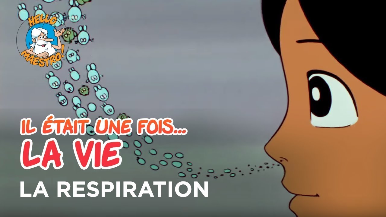 Il était une fois… la Vie 🌱- La respiration 🔬 - YouTube