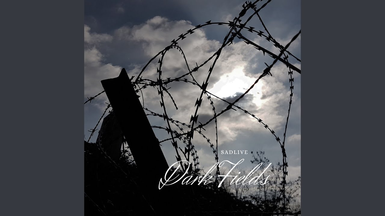 Dark Fields IV - YouTube