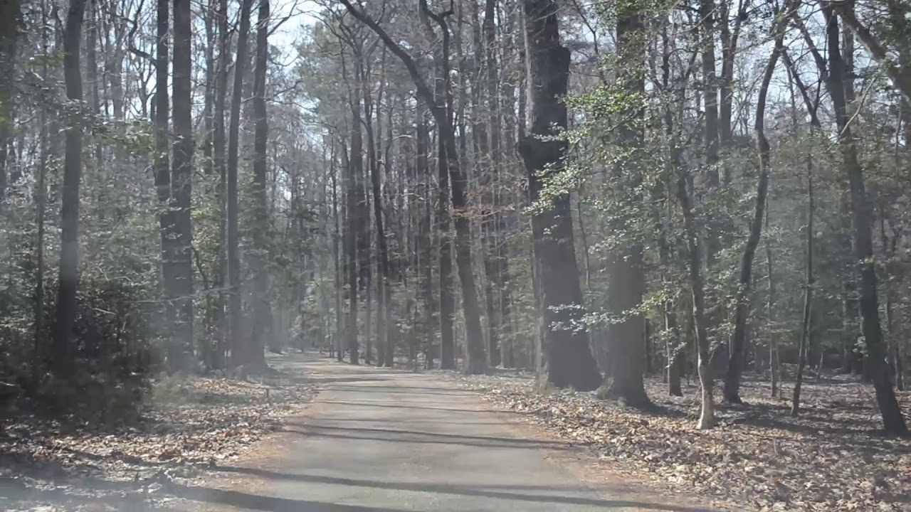 숲속의 길 backwoods - YouTube