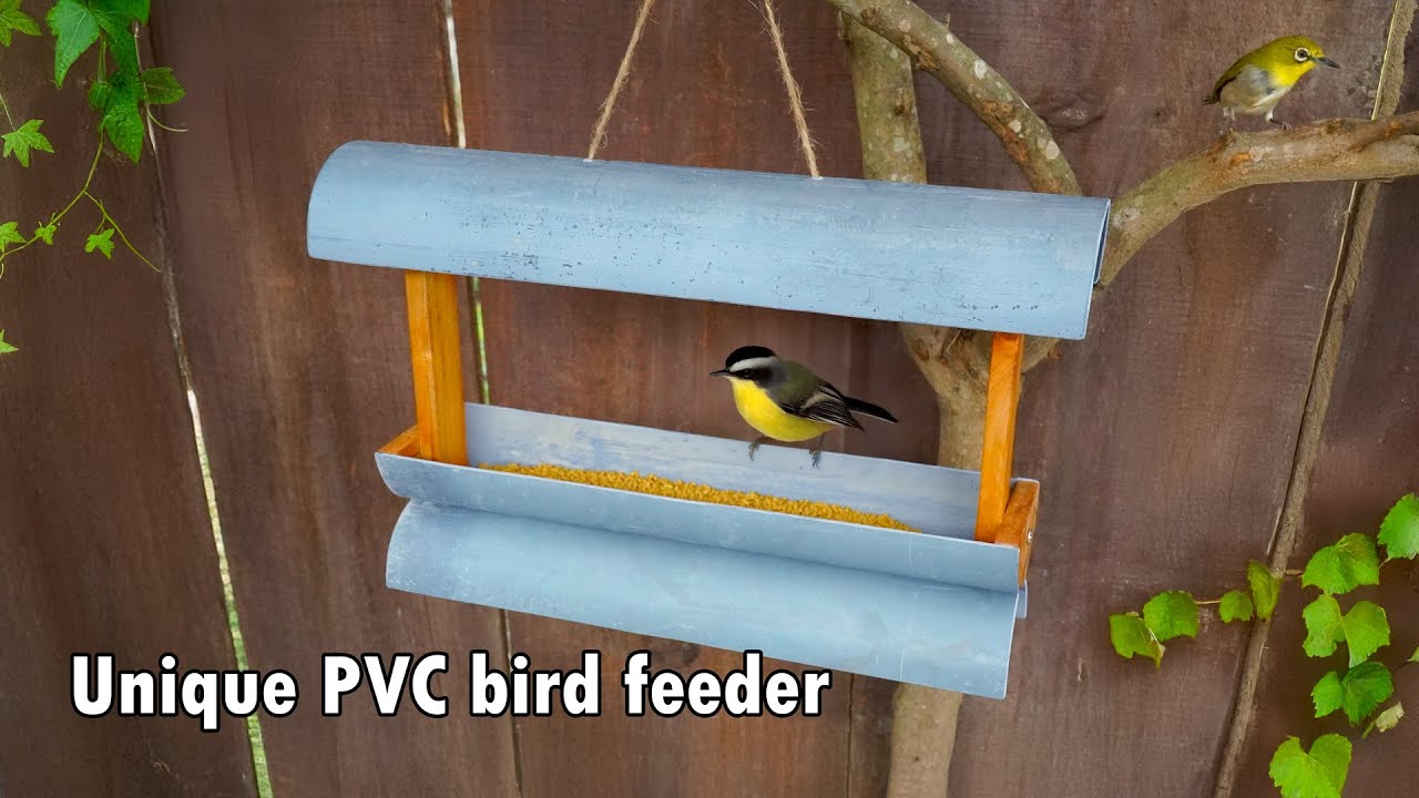 Turn broken PVC pipes into amazing bird feeder - YouTube