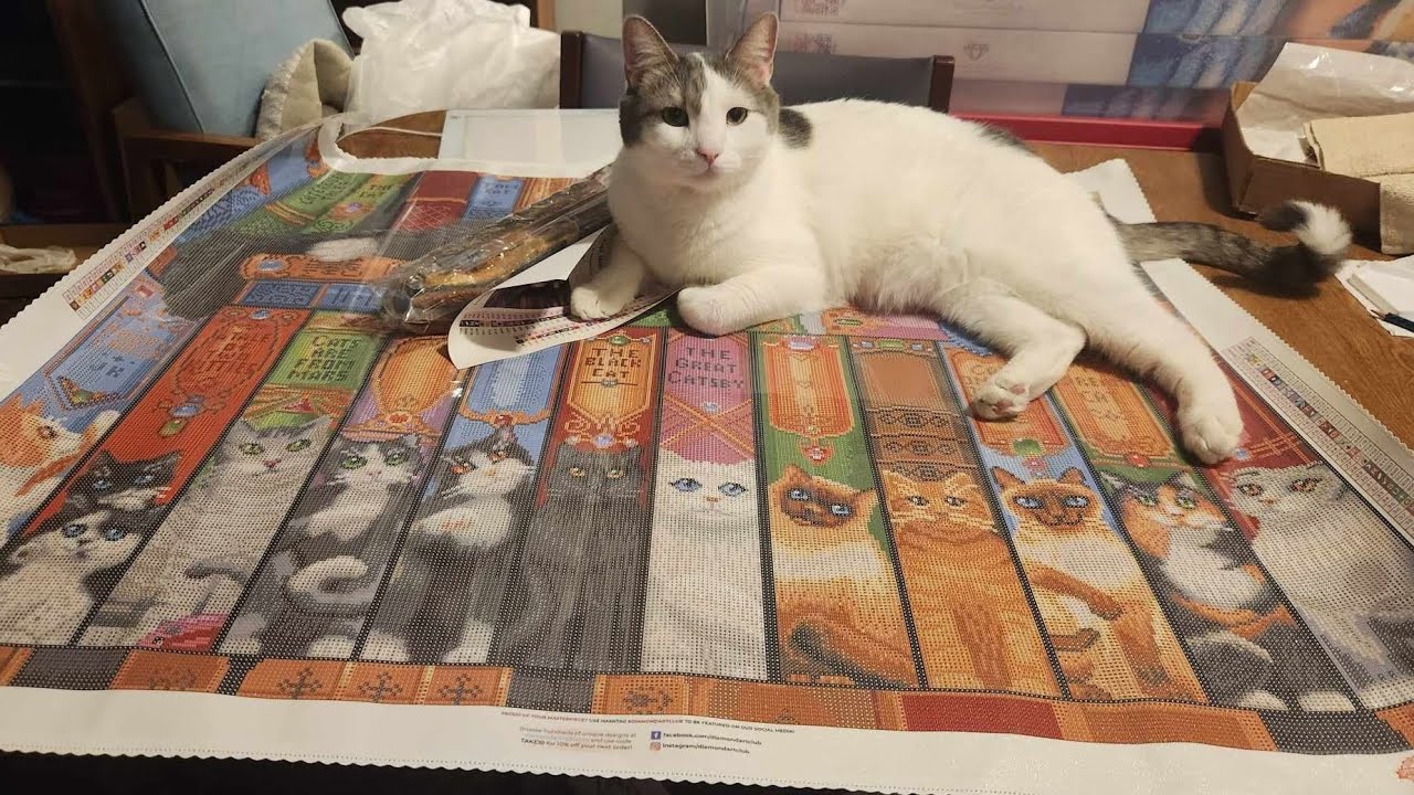 Kitting up Diamond Art Club's "Cat Bookshelf by Randal Spangler" - YouTube