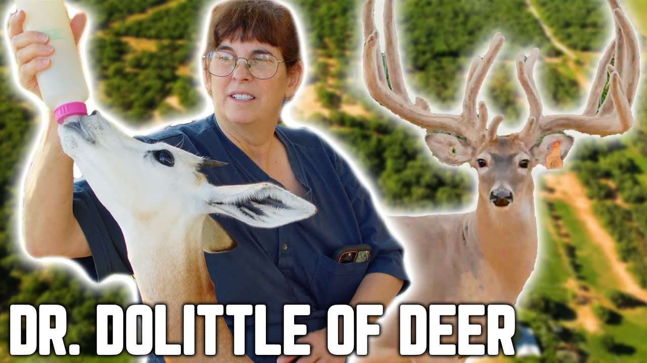 The Female Dr. Dolittle AND Deer Farmer? - YouTube
