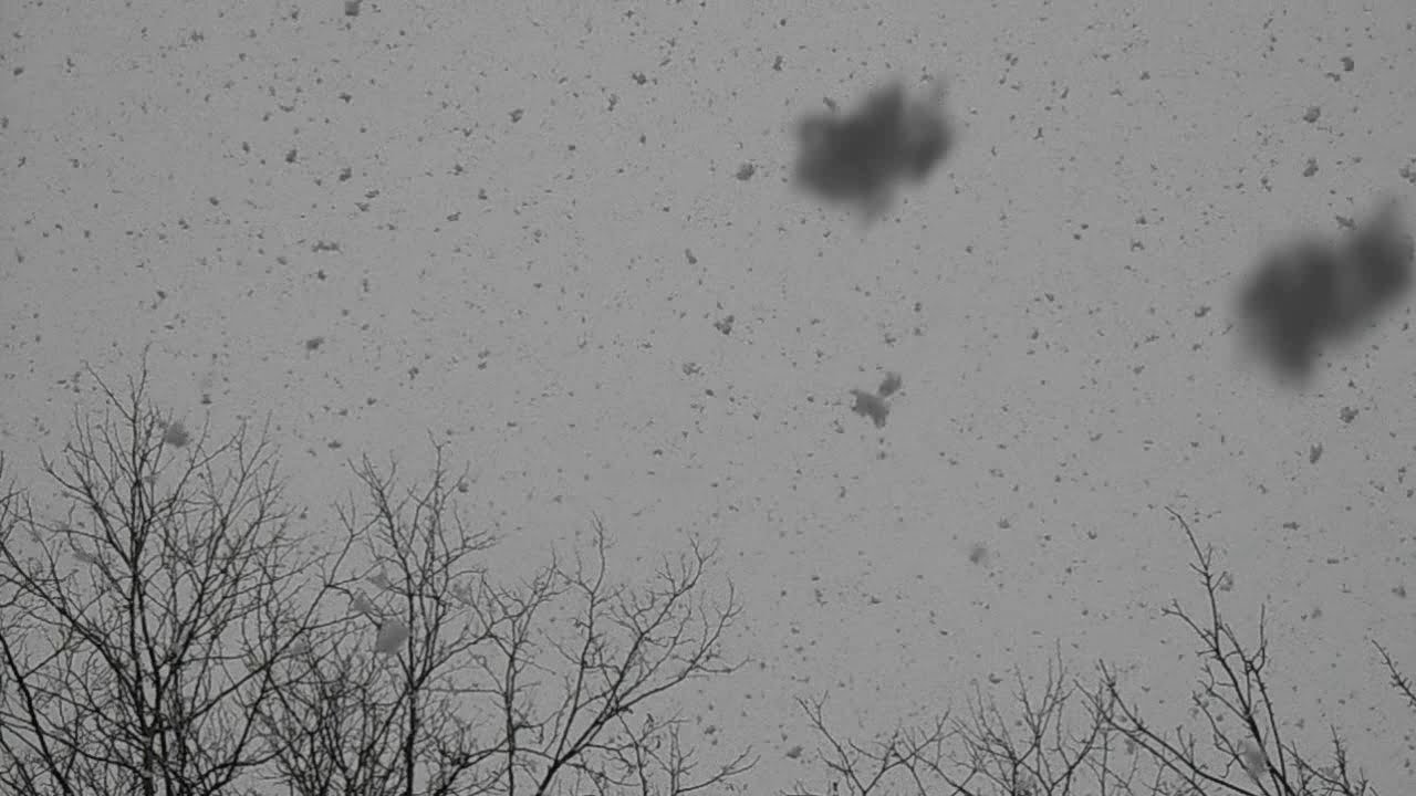 Biggest Snowflakes I've Ever Seen - YouTube