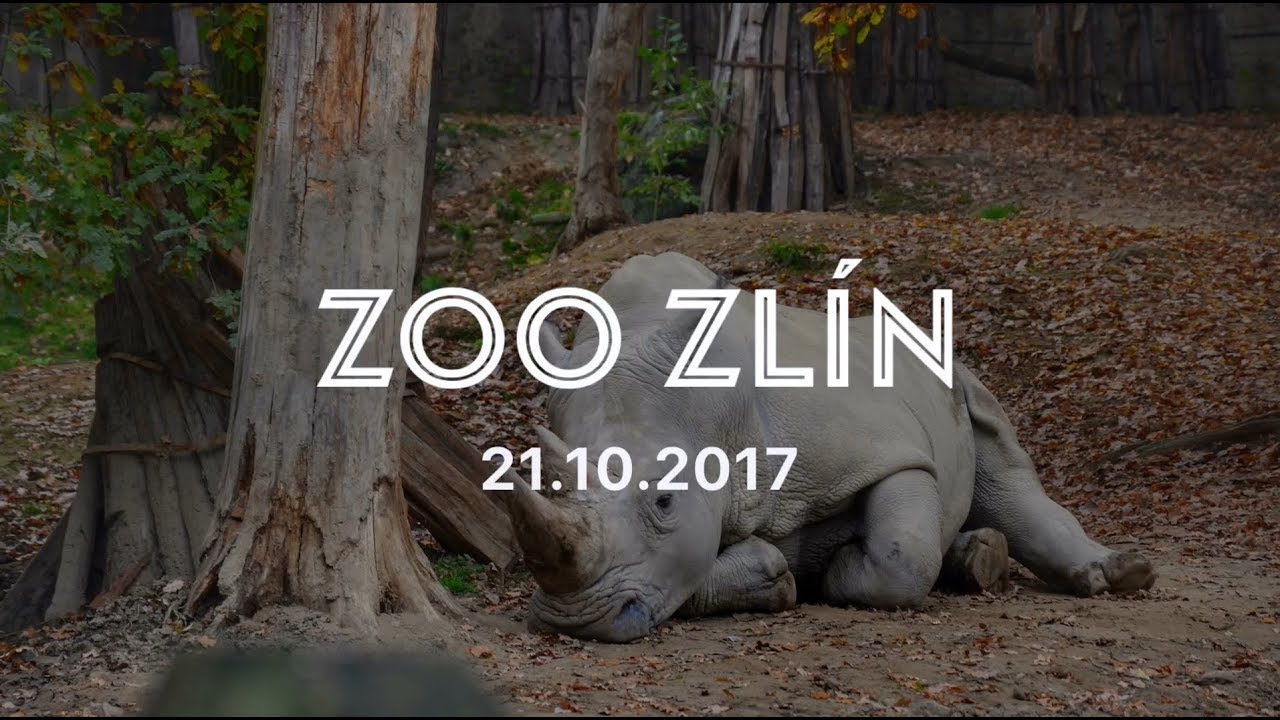 ZOO Zlín / 21.10.2017 - YouTube