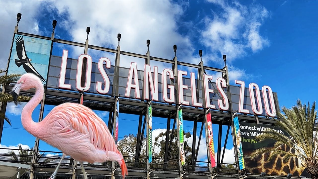 A Family Fun Day at the Los Angeles Zoo | Updates - YouTube