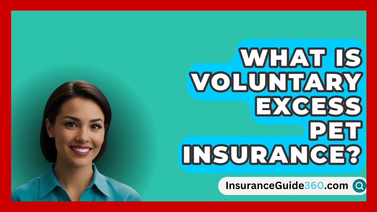 What Is Voluntary Excess Pet Insurance InsuranceGuide360 YouTube what-is-voluntary-excess-pet-insurance-insuranceguide360-youtube