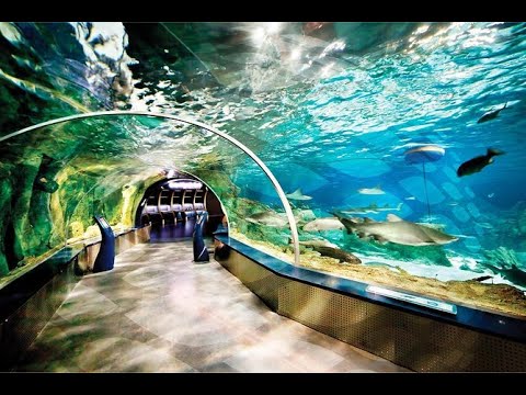 Turkey, Istanbul Aquarium Florya (April 2022) 4K Walking