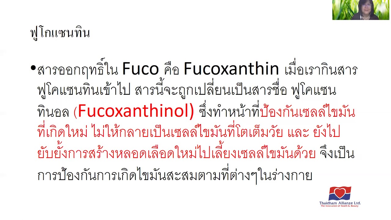 Fuco - YouTube