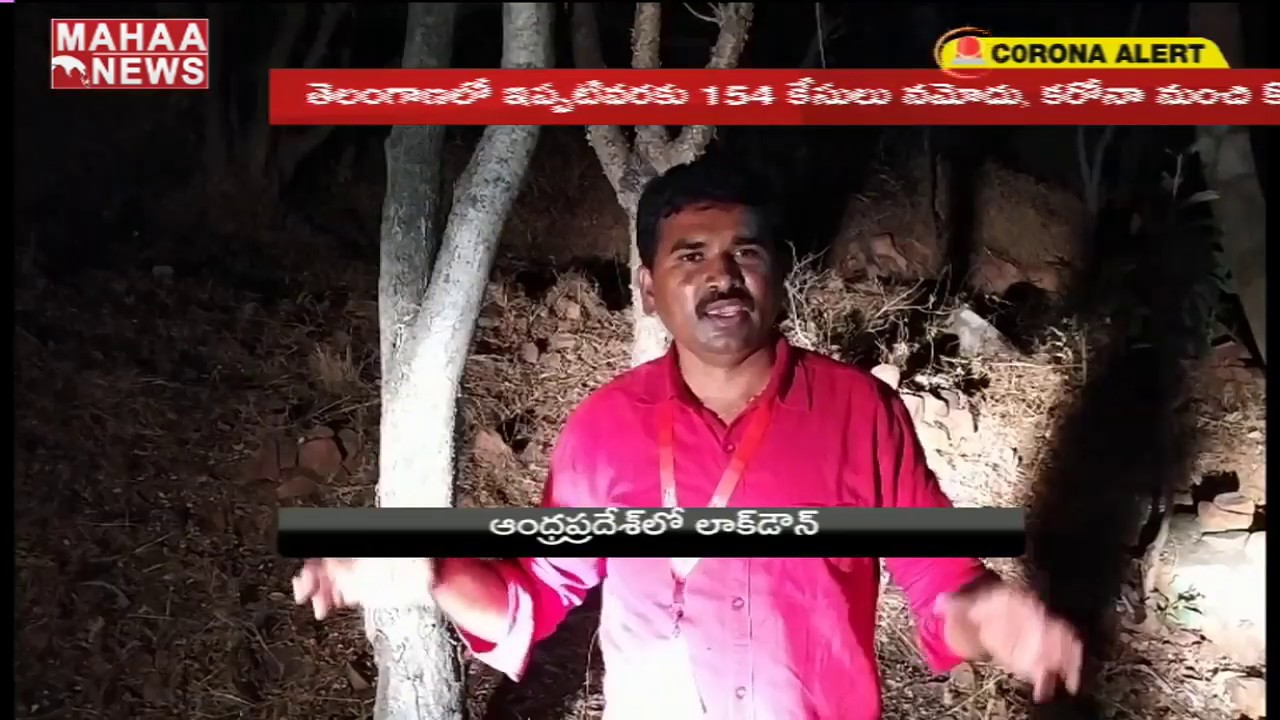 Animals Straying Into Tirumala Ghat Road Due To Lockdown | MAHAA NEWS ...