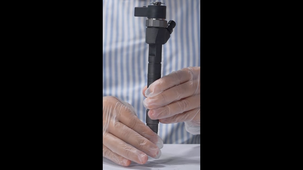 0445110163 Inyector Diesel Common Rail 0445110162 y 0986435109 OE ...