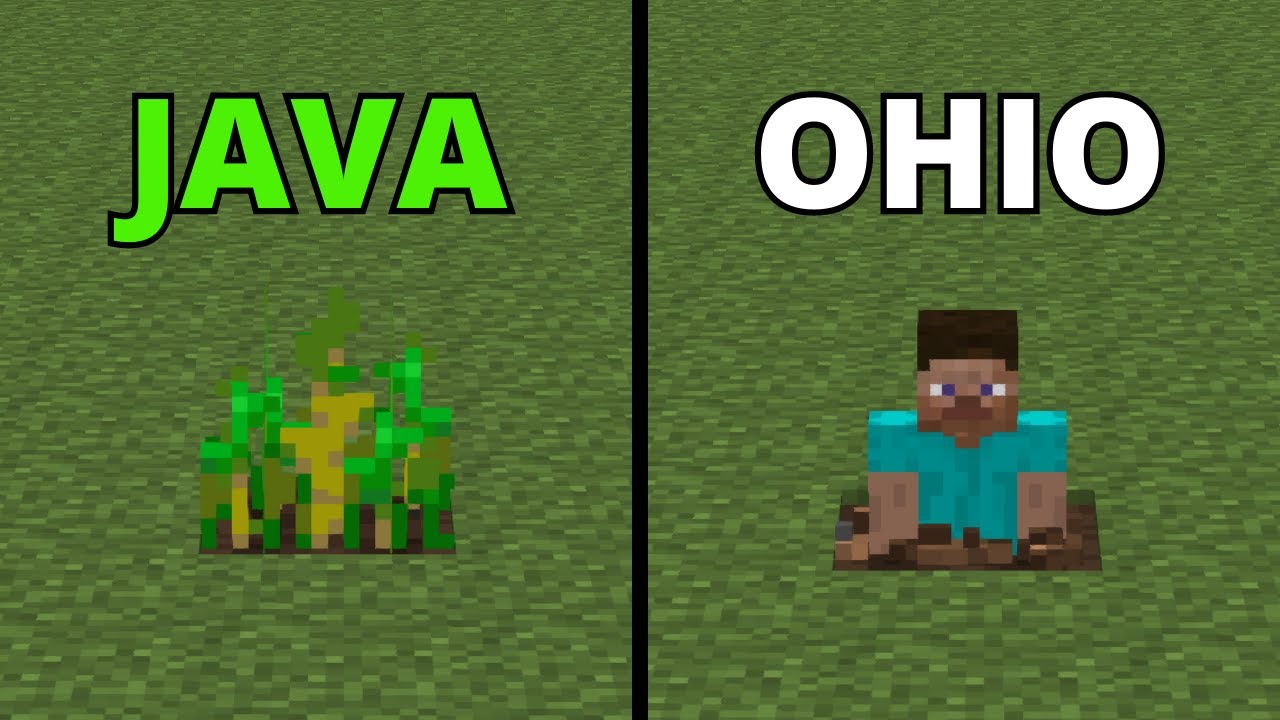 java vs ohio compilation - YouTube