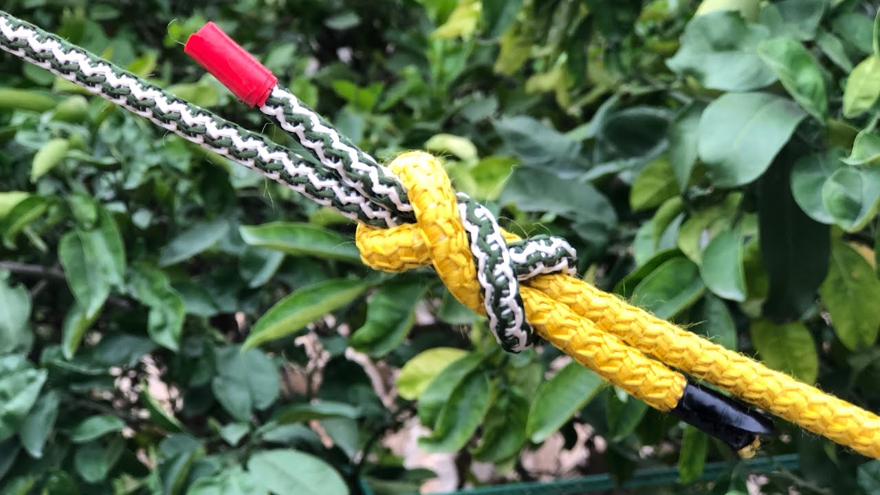 Wow! 1 Best Rope Connection Method You Must Know | @knots313 - YouTube