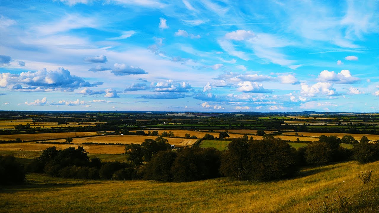 Evening In The Countryside | Sound For Relaxation And Sleep - YouTube