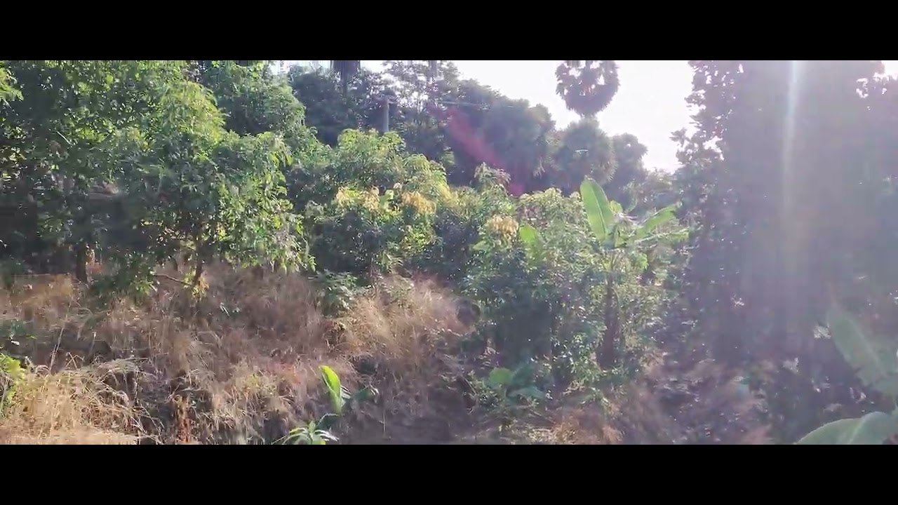 Beauty of Cherukode Farm - YouTube