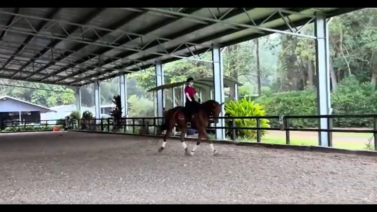 Chelsey May and Le Flambeur Preliminary 1.2, Brisbane CDI Fundraiser ...