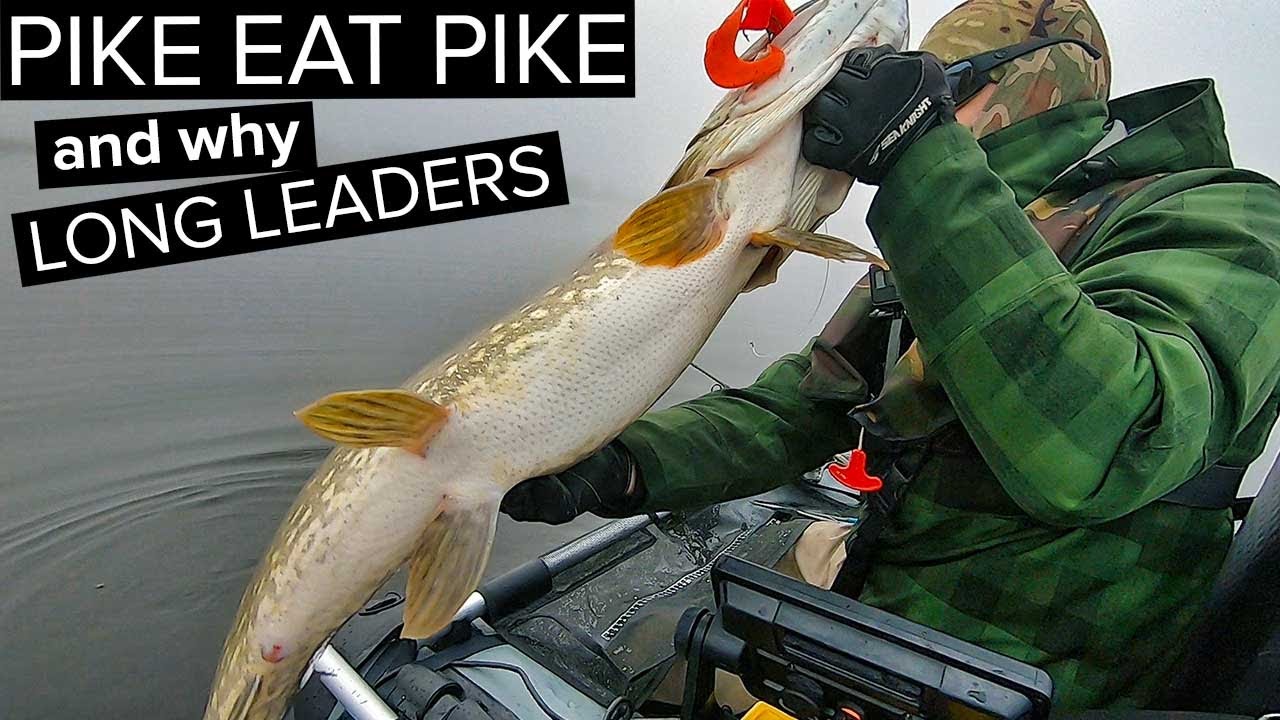 HOW JACKS TRIGGER BIG PIKE? Fly & Lure Pike Fishing Ireland. - YouTube