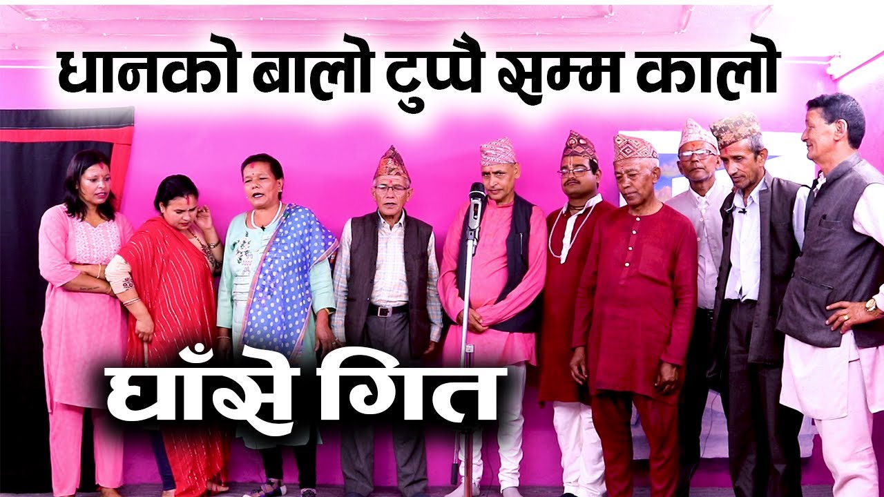 घाँसे गित - धानको बालो टुप्पै सम्म कालो Ghase Geet - YouTube